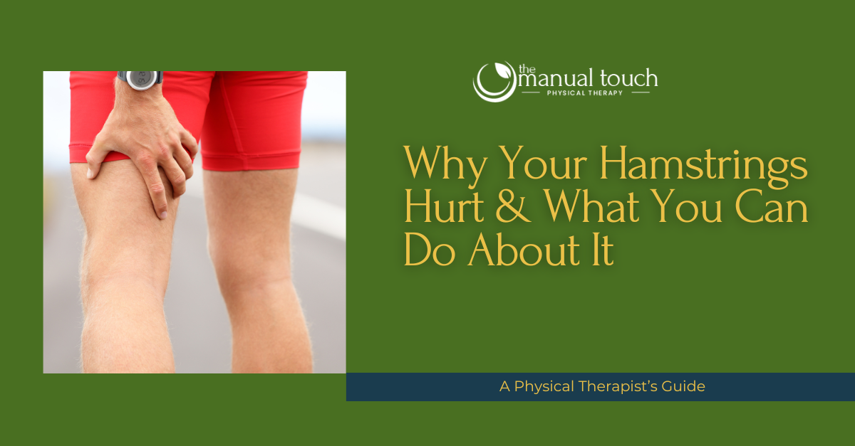 Why Your Hamstrings Hurt & What You Can Do About It the manual touch ...